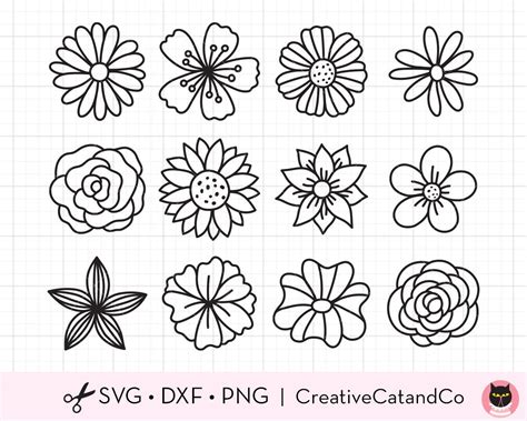 Single Spring Flower
