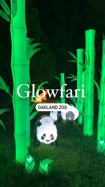 Mommy Mementos On Instagram Glowfari A Lantern Festival At The