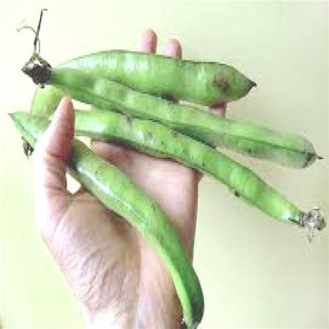 Food Ingredients Dataset Object Detection Model V4 2023 10 06 11 10pm By Food Recipe