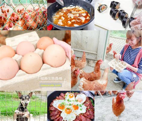 【台中農場】福壽生態農場，福壽生態牧草蛋、寵物食品、穀類食品等等多樣食品生產 陳小可的吃喝玩樂