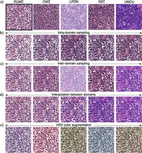 Overview Of The Color Variation In The Dataset And The Augmentation Download Scientific Diagram