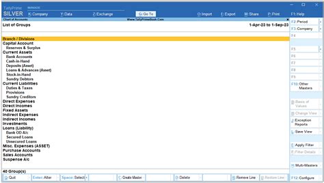 TallyPrime Assignment 3 ACCOUNT GROUPS CREATION TallyPrime Book Tutorial Printing Book