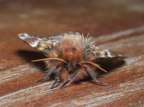 All Of My Time Is For This Deep Space Atomic Clock Tumblr Blog Tumlook