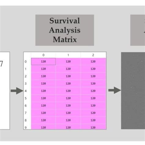 Schematic Diagram Of Survival Analysis Images By Dimension Raising And Download Scientific