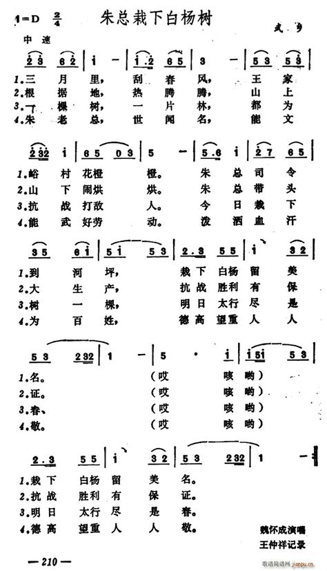 朱总栽下白杨树 歌谱简谱网