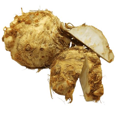 Verdura Box Korijen Celera