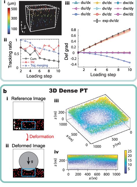 Tracking 3d Deformations A A 3d Shear Example Du Dz ̸ 0 Dv Dz ̸ Download Scientific