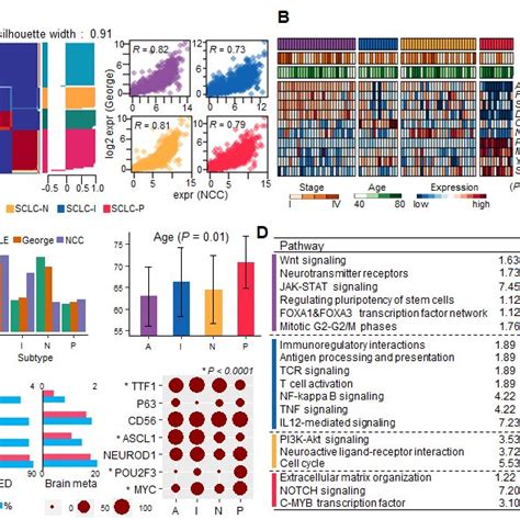 Data Distribution According To Tp53rb1 Mut Mutation Status In The
