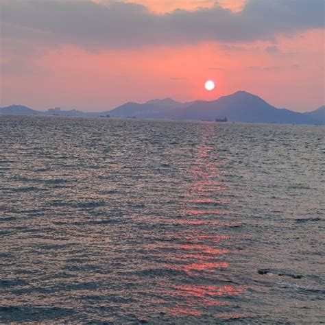 바다 윤슬 보세요 뉴스트림
