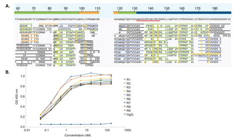 Alpaca Antibody Discovery And Characterization Pab Sequencing Spr And Hdx Ms