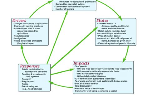 Dpsir Framework Of Food System Download Scientific Diagram