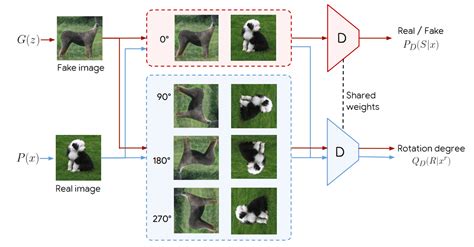 Github Sejin Sim Self Supervised Learning Self Supervised Learning Ssl Methods And