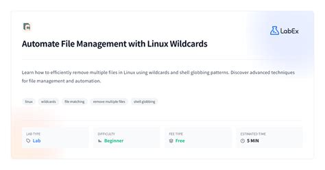 Automate File Management With Linux Wildcards Labex