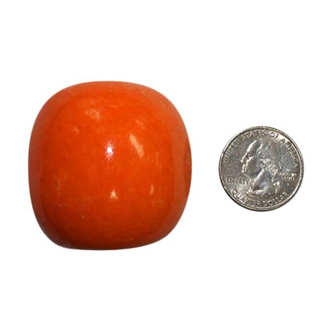 Dubble Bubble Mega Fruit Unfilled Gumballs 3 Lb Bulk Bag Sale