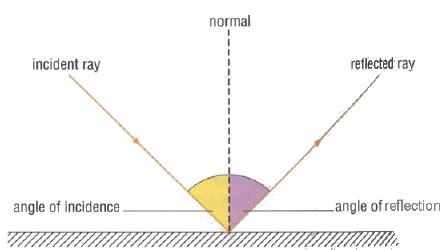 Angle Of Reflection