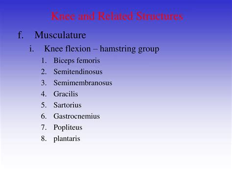 Ppt Chapter 20 The Knee And Related Structures Powerpoint