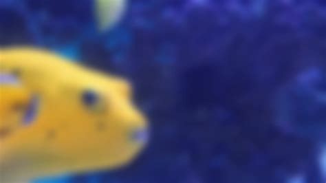 Quicksave Interactive On Linkedin Quicksaves Slush Side Event 2024