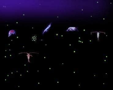 Plankton Alchetron The Free Social Encyclopedia