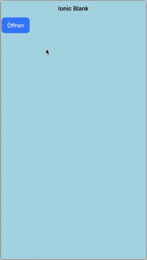 Fixing Page Transition With Own Fullscreen Logic Answer · Issue