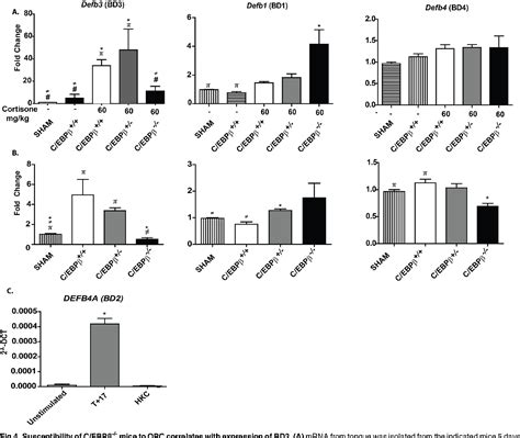 Figure 4 From C Ebpβ Promotes Immunity To Oral Candidiasis Through Regulation Of β Defensins