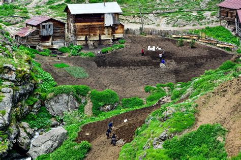 Giorgi Nikolava Giorgi Nikolava Photography