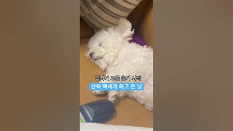 유튜브보다 잠든 내모습 같군ft코고는 소리 Youtube