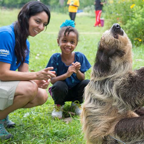 Sciences Supporting A Communitys Informal Education Needs Confidence And Empowerment In Stem