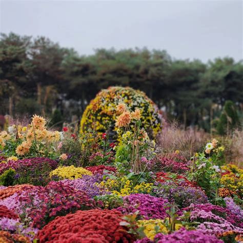 😷 환절기 면역력 저하 And 감기 독감 주의 🍂