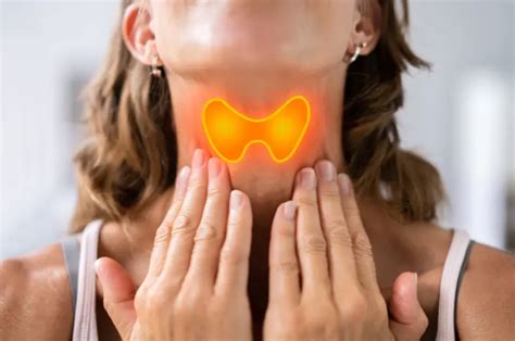 Bócio Multinodular De Tireoide Quando Se Preocupar E Como Tratar Ana Bárbara Trizzotti