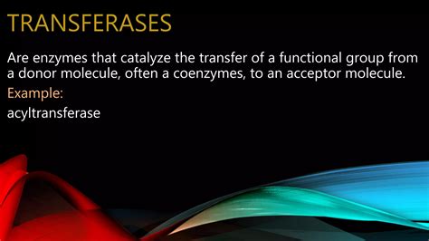 Enzymes In The Body Pptx