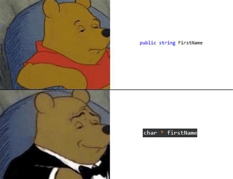 char as god intended r programmerhumor