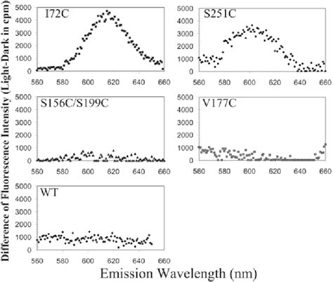 Effects Of Scanning Alanine Mutagenesis Of Arrestin Loop 248 253 On