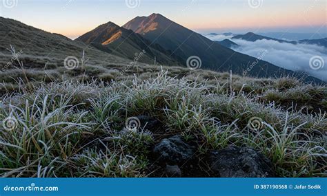 Example Of Microclimate Vector Illustration 135248674