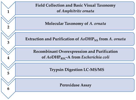 Methodological Flowchart For The Isolation And Taxonomic Identification