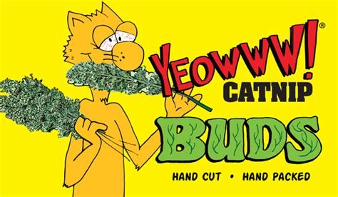 Yeo Catnip Buds Organic Catnip 10g Cat Toys Can And Clover