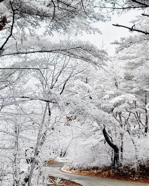 신철우 45억년 지구의 어느날 인간은 시간이 그리 길지 않다 일출 파도 시간 빛 대비 기록 다큐 아카이브 시간 여행 셀스타그램일상스타그램 사랑해