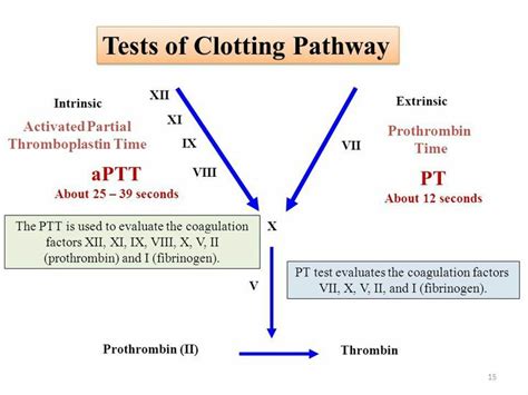 Pt Test Prothrombin Time Price Purpose And Result [2024]