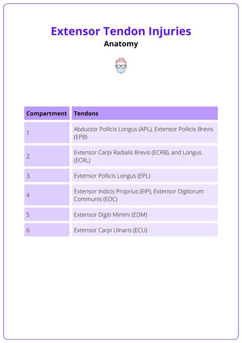 Extensor Tendon Injuries Anatomy Clinical Assessment And Management