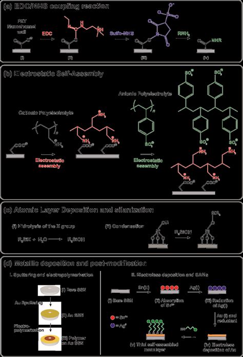 Illustrative Scheme Of The Different Types Of Functionalization Download Scientific Diagram