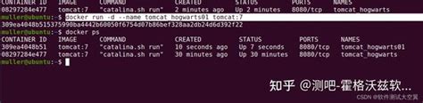 软件测试 深入解析Docker Run命令创建和启动容器的完全指南 知乎