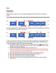 BI ProblemSet KEY S Pdf Name Problem Set ANSWER KEY Please Type Your Responses You Can