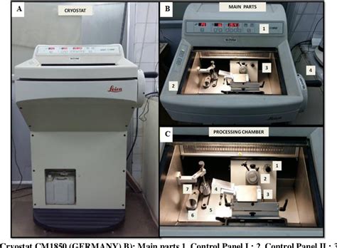 Figure 1 From Intraoperative Frozen Section Consultation An Audit In A