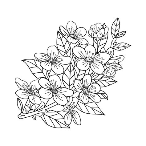 손으로 그린 체리 꽃 색채 페이지 일러스트레이션 프리미엄 벡터