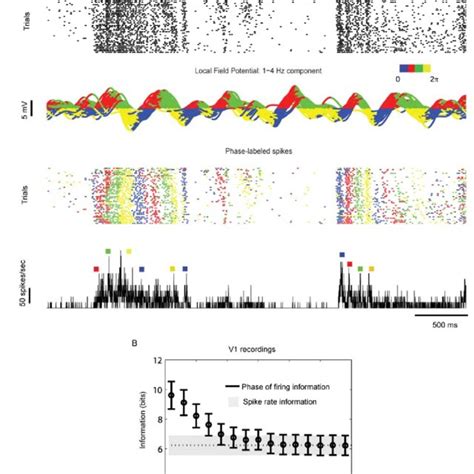 Phase Of Firing Coding A From Top To Bottom Raster Plot Of Spike Download Scientific