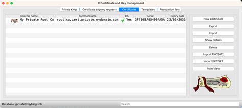 Aws Client Vpn With Manually Provisioned Certificates Using Terraform