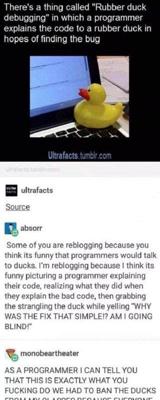 There S A Thing Called Rubber Duck Debugging In Which A Programmer Explains The Code To A