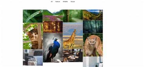 Divi Plus Update Introducing Filterable Gallery Divi Extended