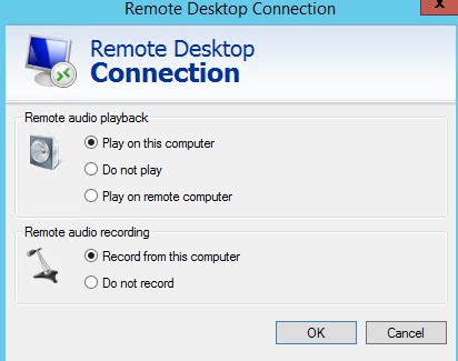 How To Use Microphone In RDP Session Serverspace