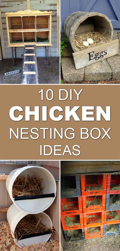 10 DIY Chicken Nesting Box Ideas