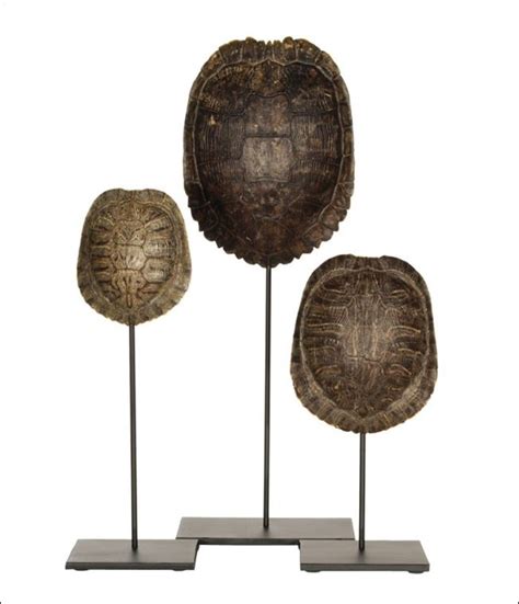 80 Best Turtle Shell Images On Pinterest Turtle Shells Tortoise